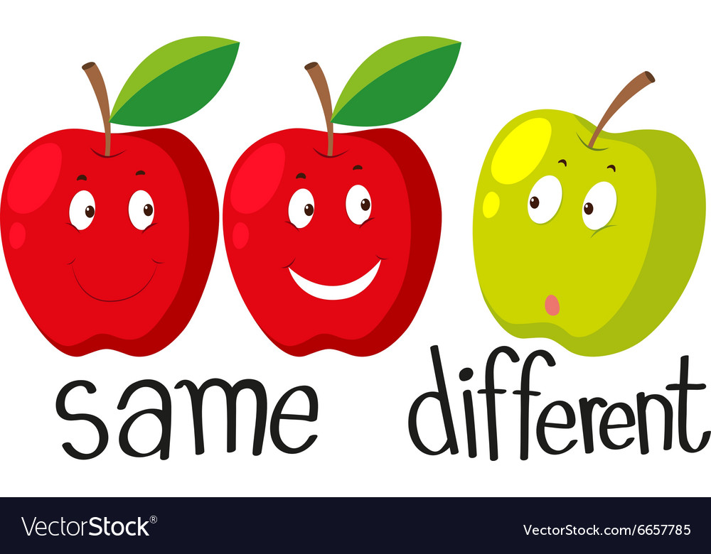 Opposite Adjectives With Same And Different Vector Image