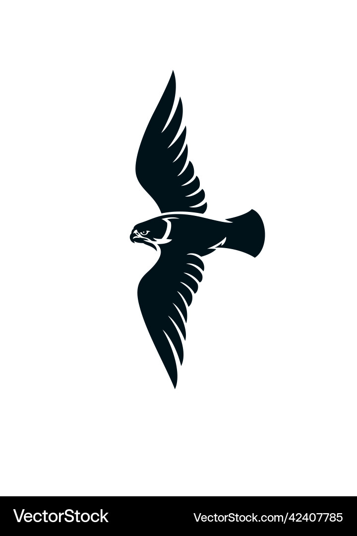 Simple logo style of hawk bird Royalty Free Vector Image