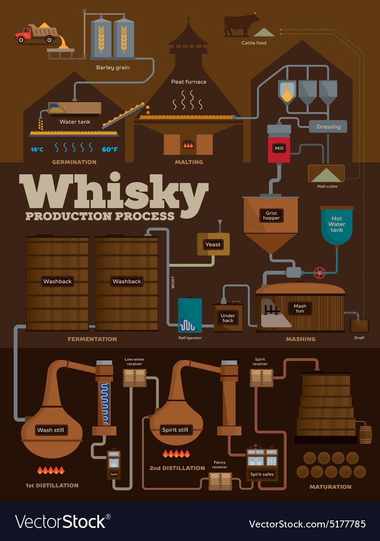 Whisky distillery production process infographics Vector Image