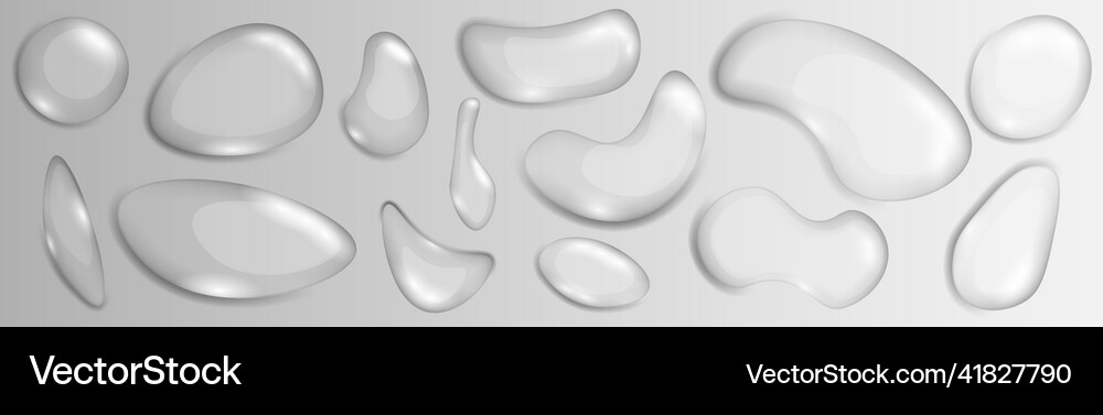 Realistic water drops bubbles rain water foam Vector Image