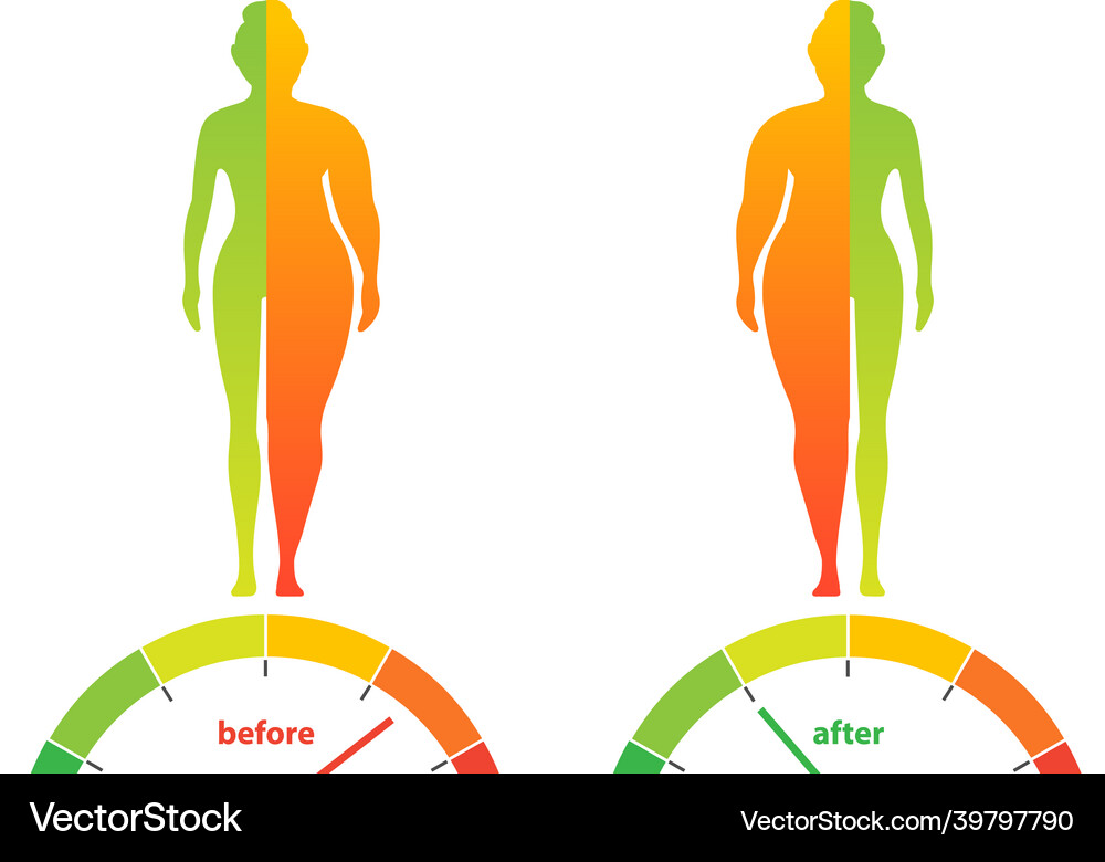 Woman with a obesity excess weight problem fat Vector Image