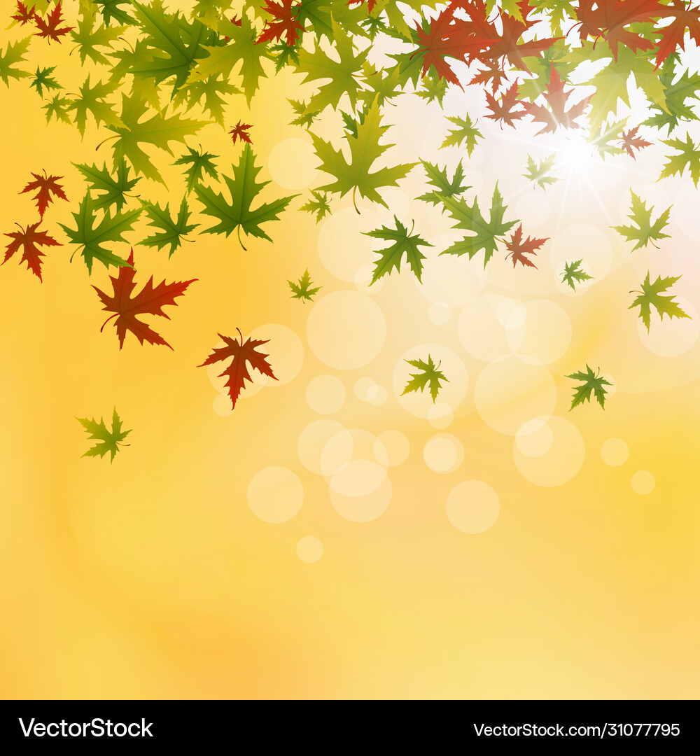 Autumn background with leaves back to school Vector Image