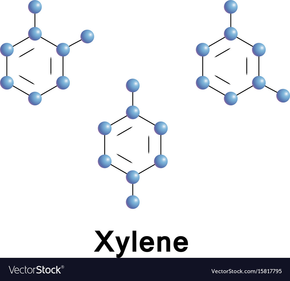 Xylenes Are Three Isomers Royalty Free Vector Image
