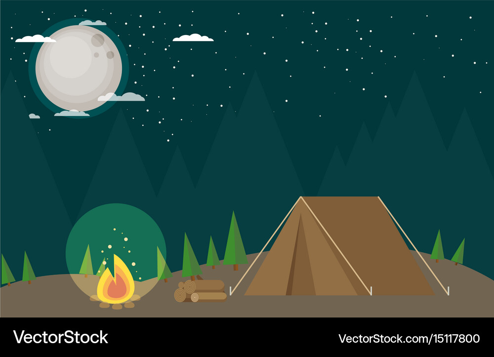 Camping in forest at night flat design style Vector Image