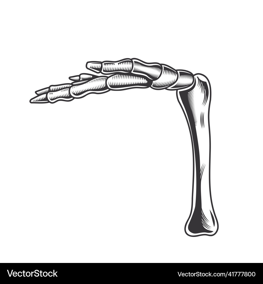 Skeleton please hand line art vintage tattoo Vector Image