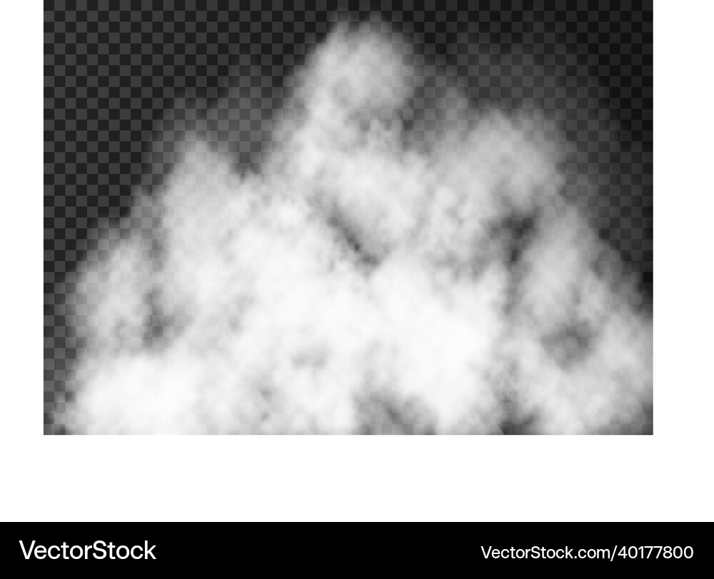 White realistic smoke isolated on transparent Vector Image