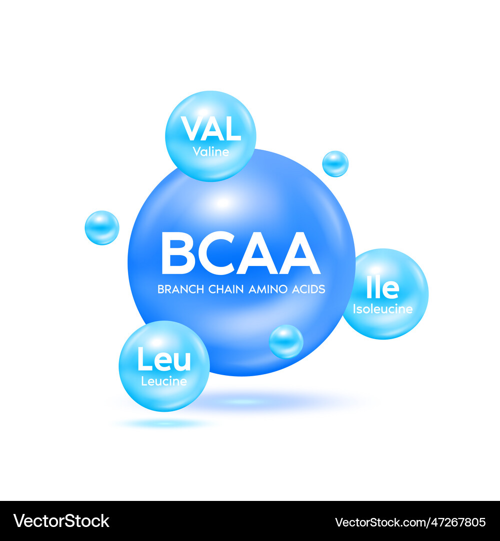 BCAA Capsules - Leucine, Isoleucine, Valine Vector Image