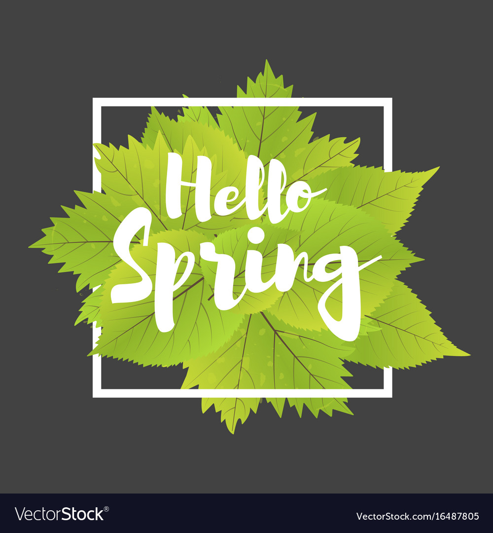 Hello spring lettering with hand drawn letters Vector Image