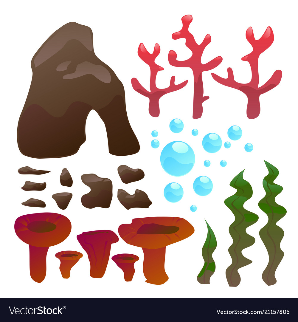 Seabed elements set Royalty Free Vector Image - VectorStock