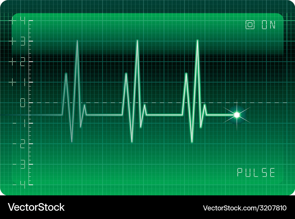 Electrocardiogram Monitor Display Royalty Free Vector Image