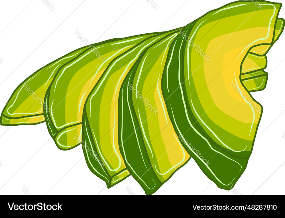 Ripe fruit avocado cut into pieces Royalty Free Vector Image
