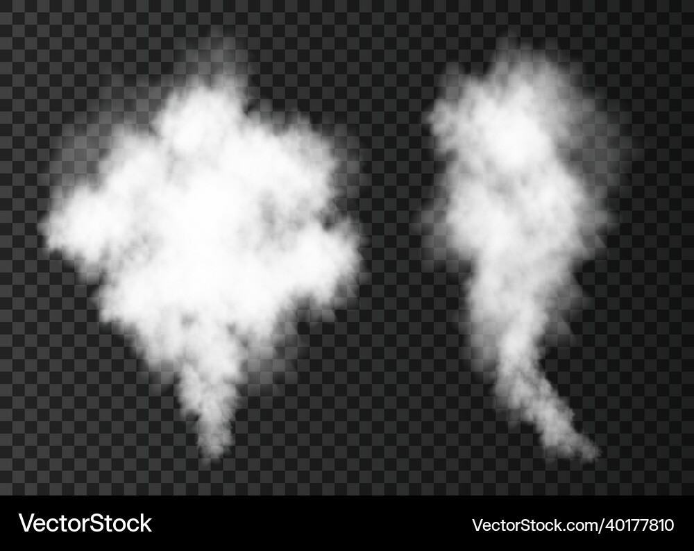 White smoke burst isolated on transparent Vector Image