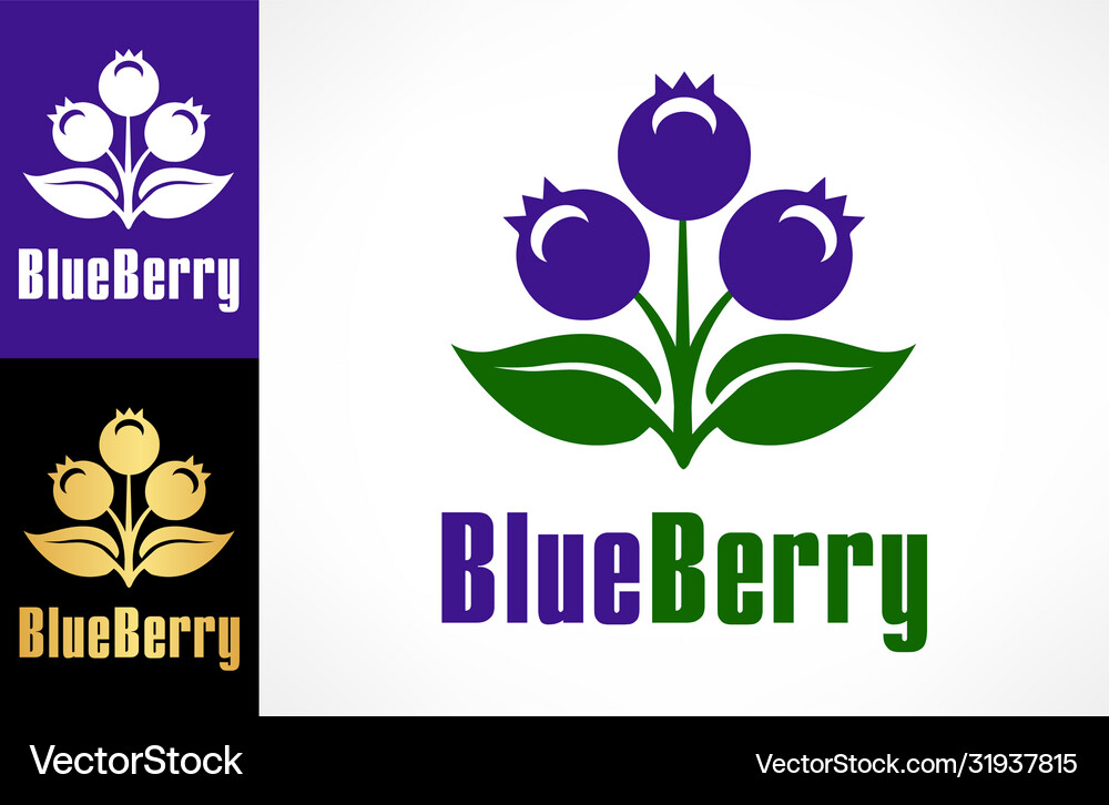 Blueberry berries logo design Royalty Free Vector Image