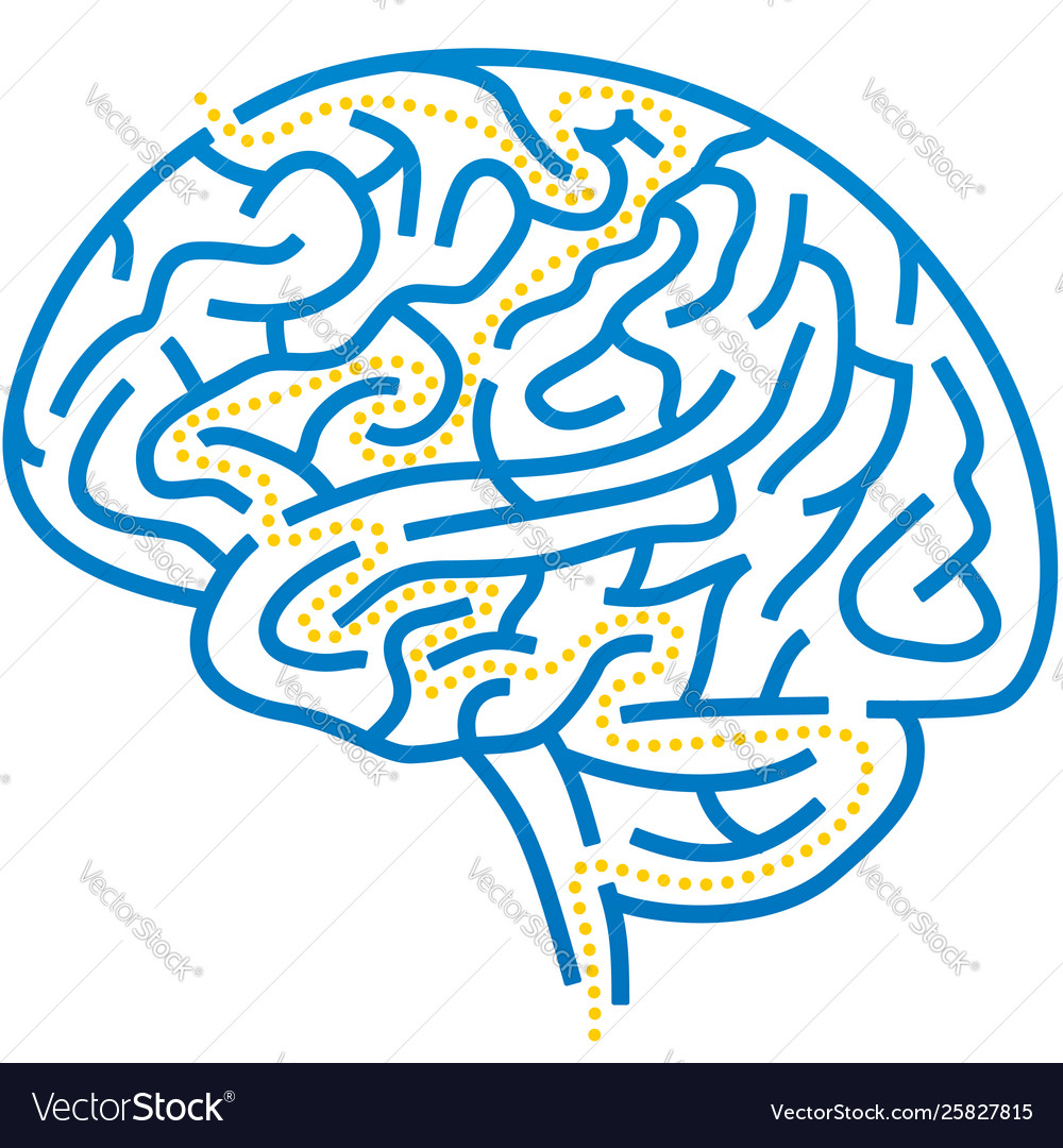 Brain maze with solution path editable and plain Vector Image