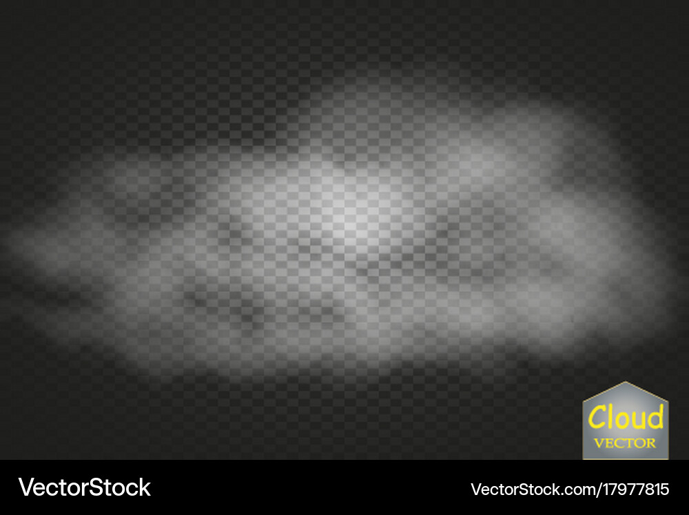 Fog or smoke isolated transparent special effect Vector Image