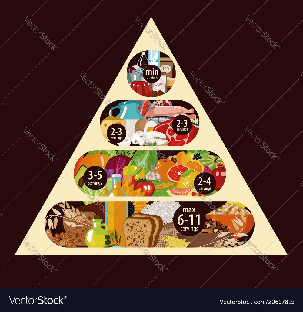Food pyramid Royalty Free Vector Image - VectorStock