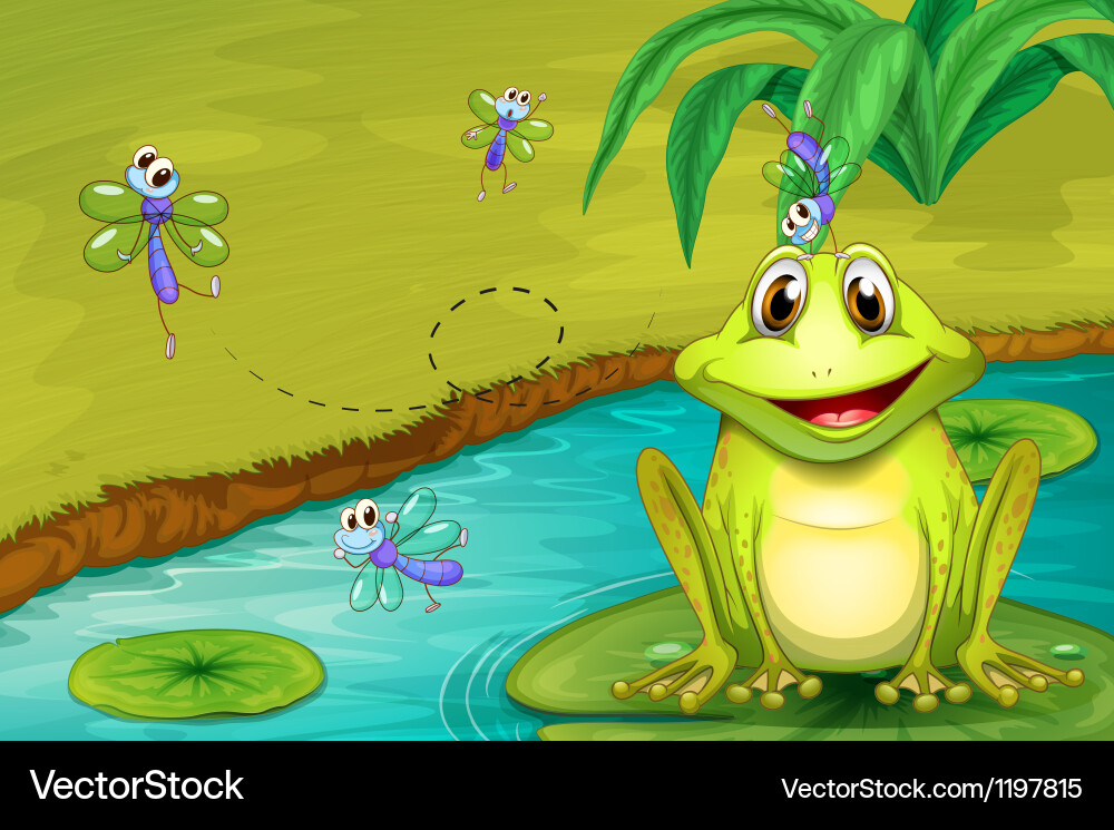 Frog and flies Royalty Free Vector Image - VectorStock