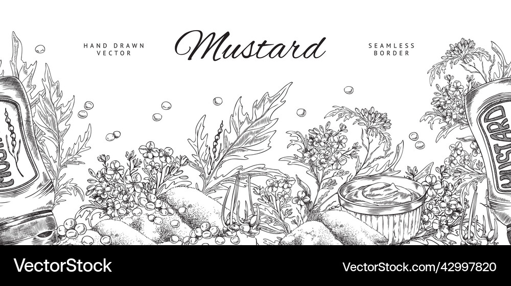 Hand drawn seamless border with mustard sketch Vector Image