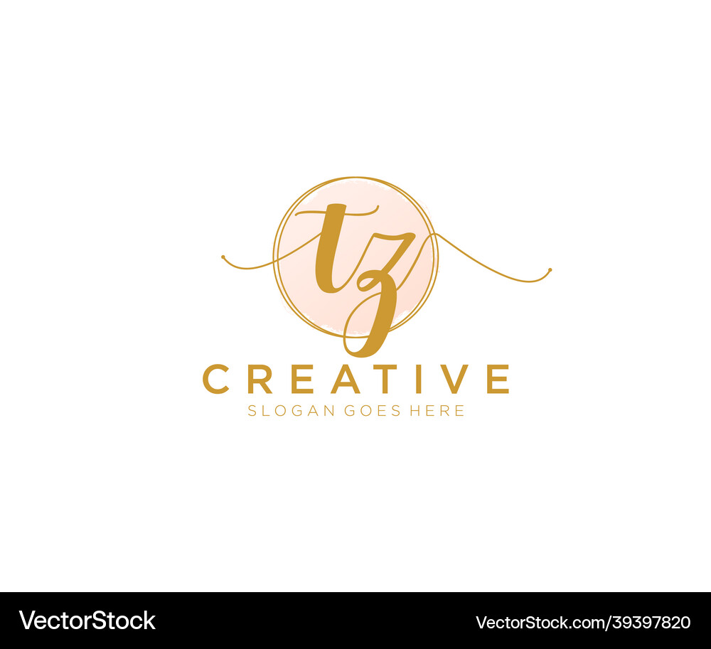 Initial tz feminine logo beauty monogram Vector Image