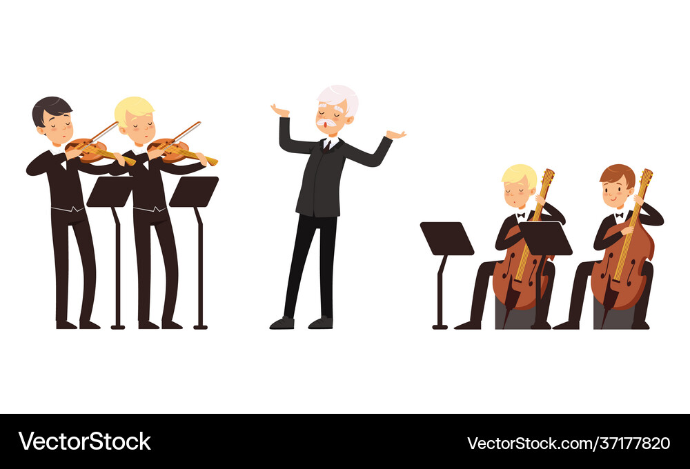 Symphonic orchestra playing classical music Vector Image