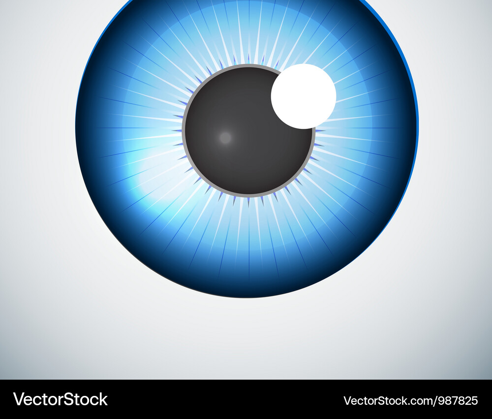 Blue Eye Ball Royalty Free Vector Image - VectorStock