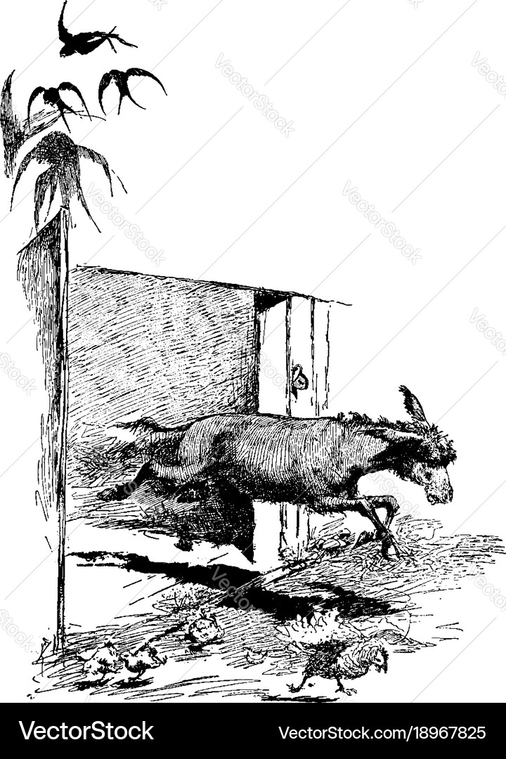 Donkey running away vintage Royalty Free Vector Image