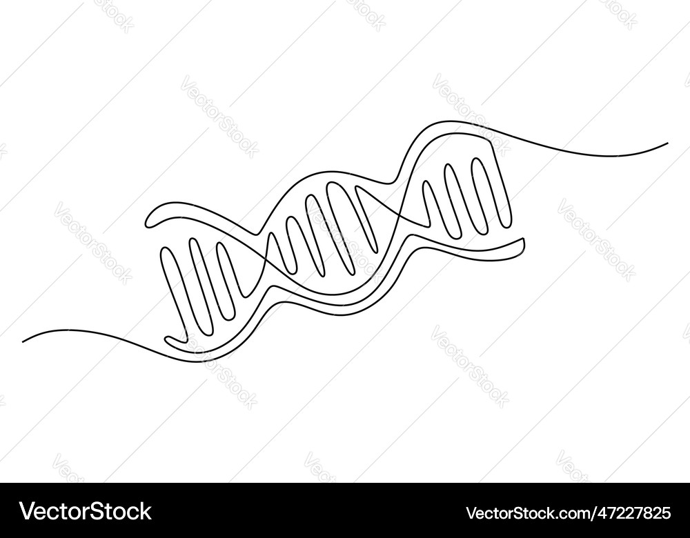 One continuous single line drawing of dna Vector Image