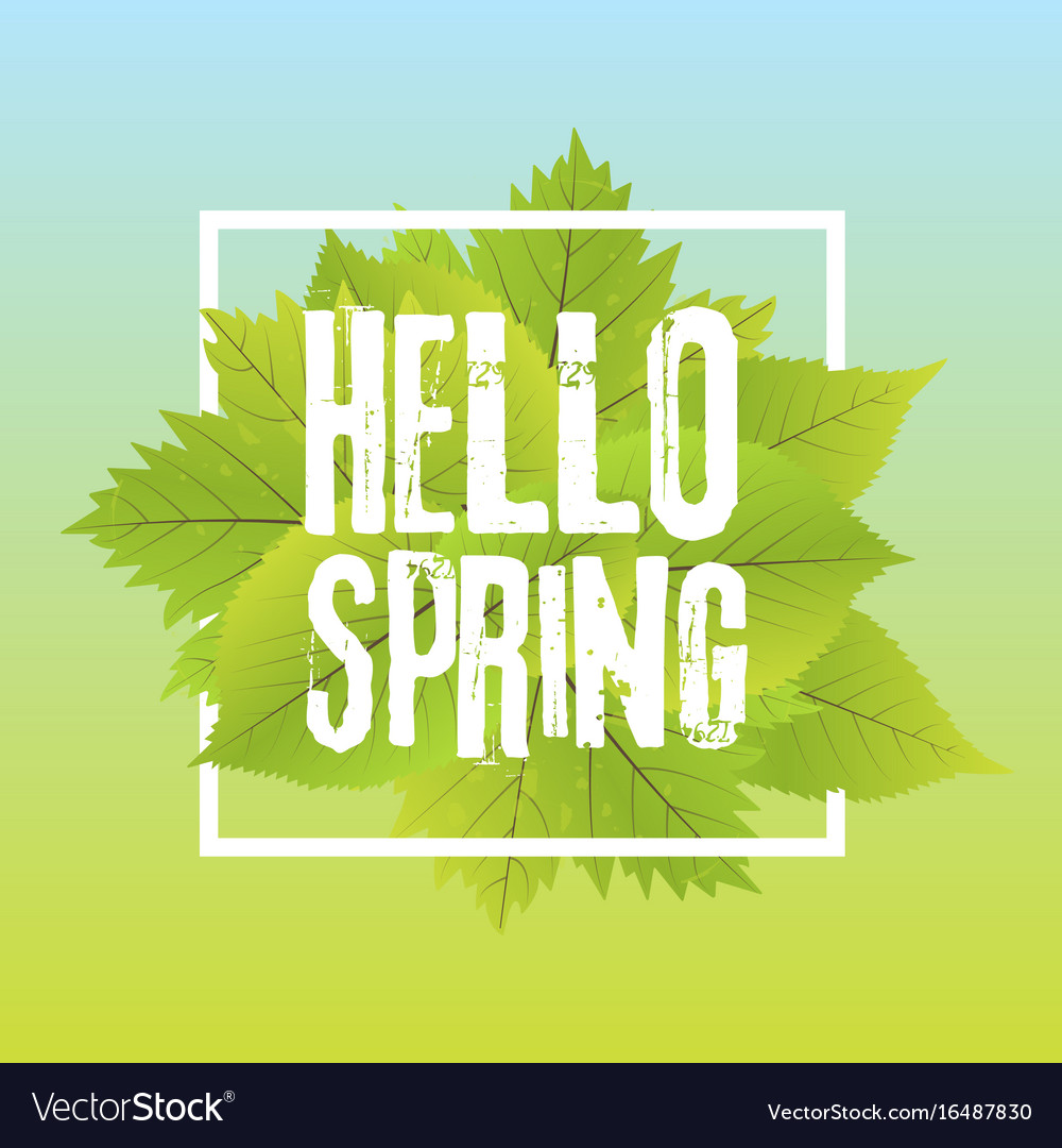 Hello spring lettering with hand drawn letters Vector Image