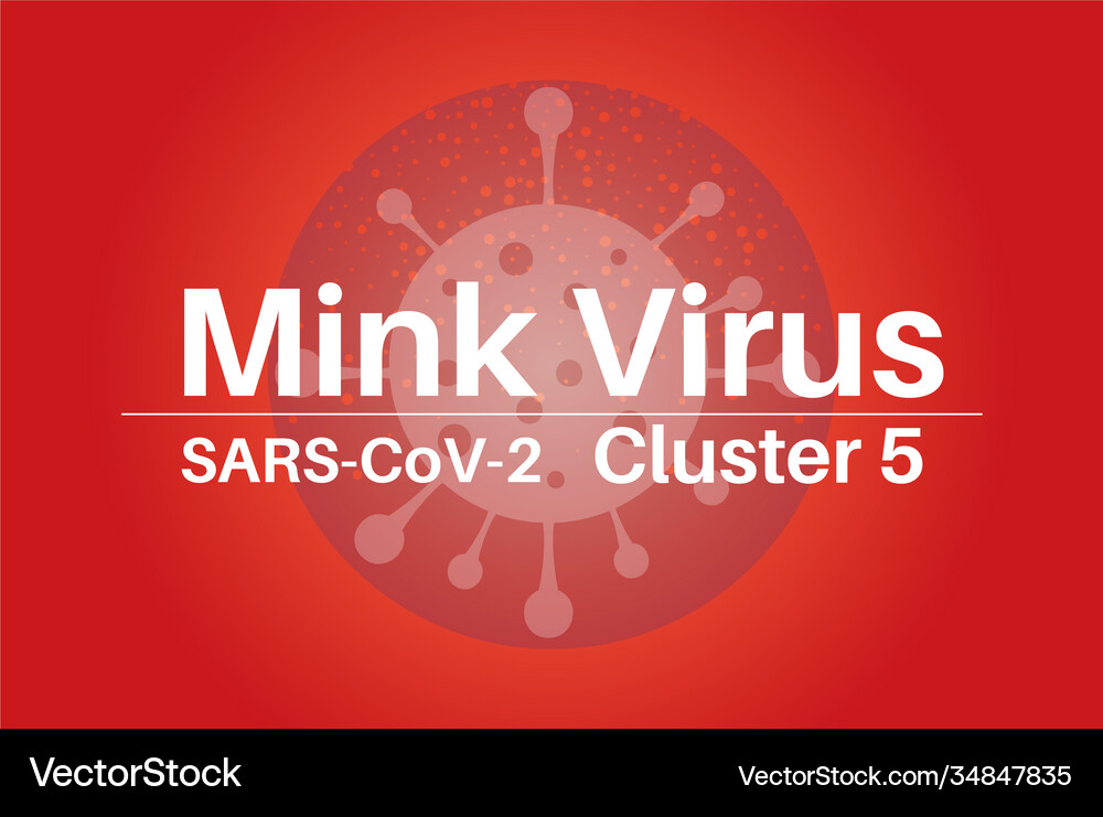 Mink coronavirus sars-cov-2 cluster 5 on a red Vector Image