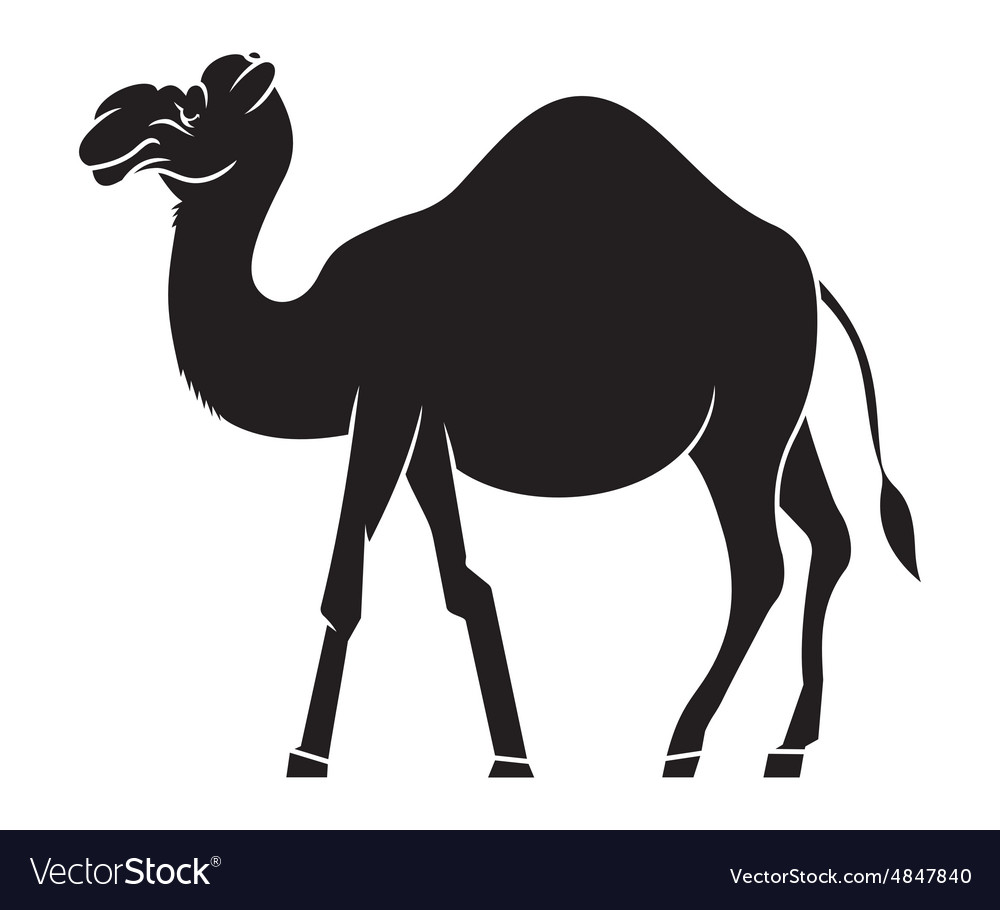 Camel Royalty Free Vector Image - VectorStock