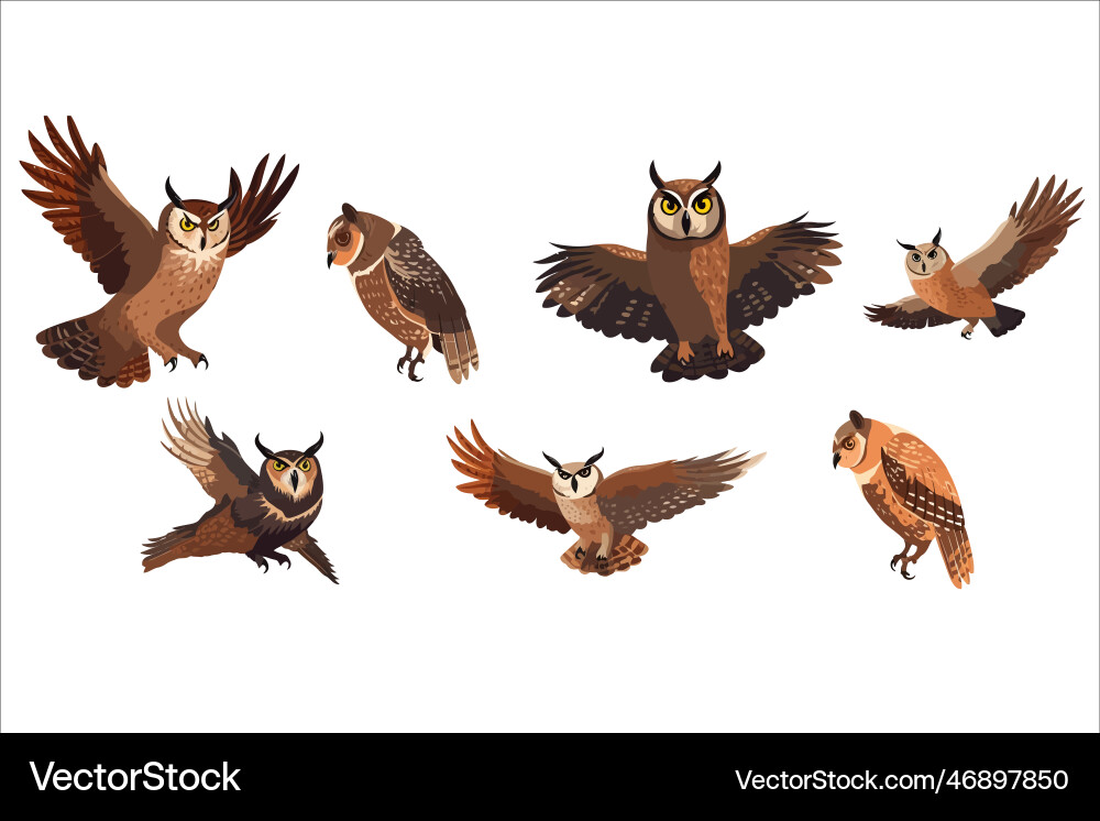 Different owl set isolated on background cartoon Vector Image