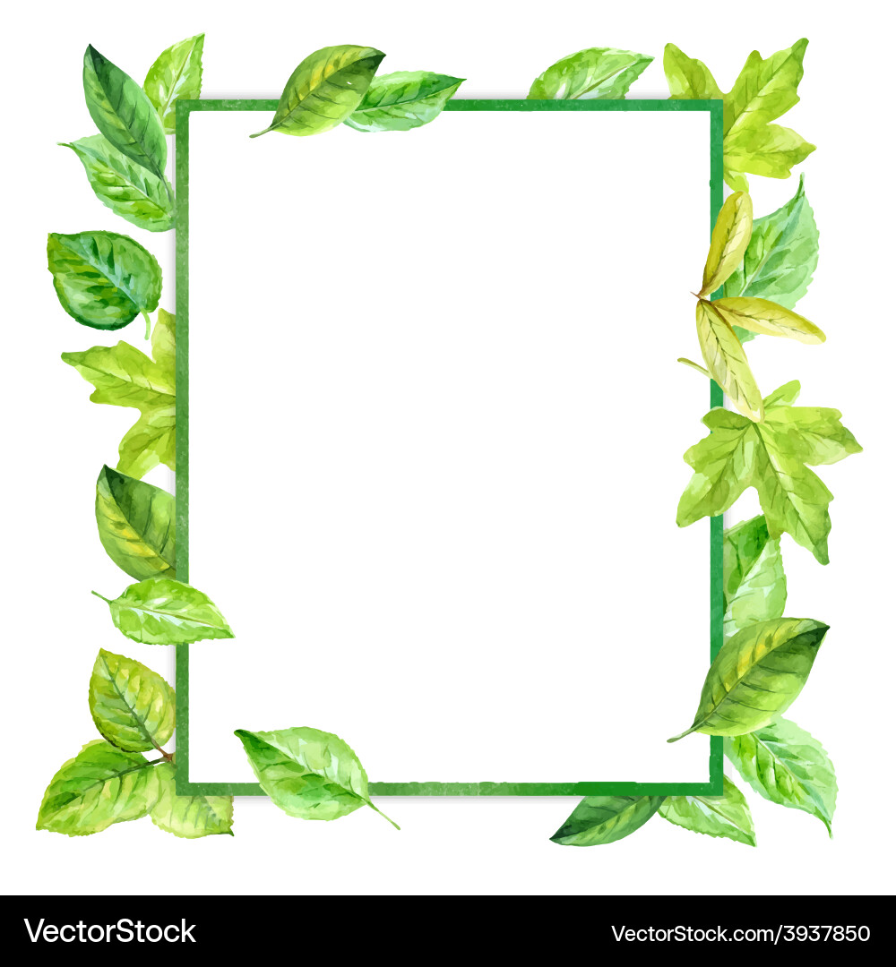 Square frame made various leaves in watercolor Vector Image