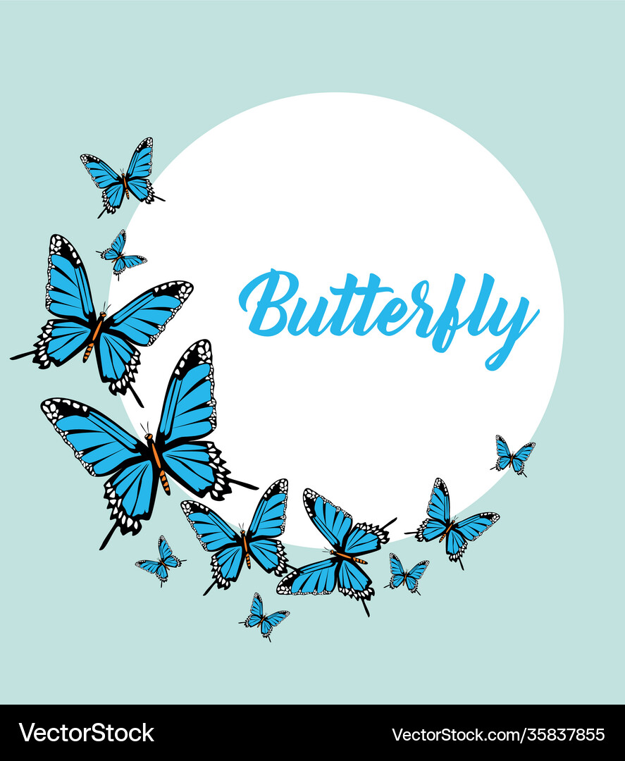 Blue butterflies lettering poster circular frame Vector Image
