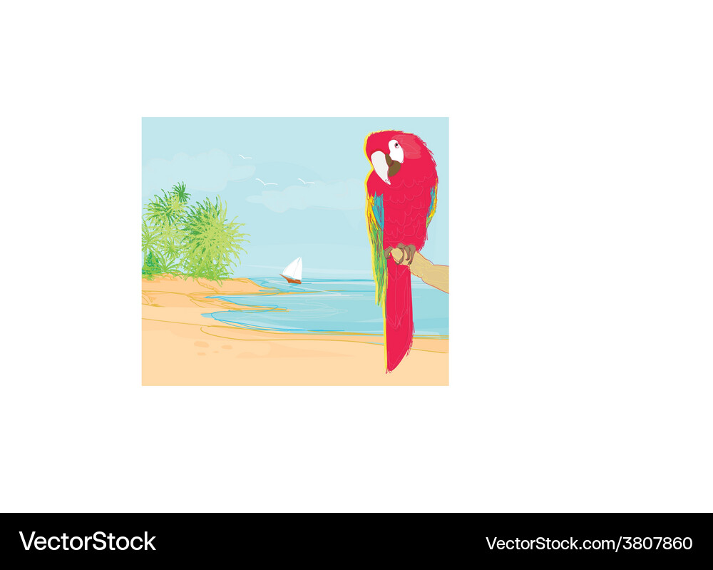 Colourful parrot bird sitting on the perch Vector Image