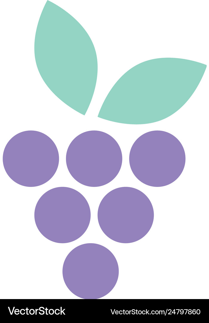 Fresh grapes fruits icon Royalty Free Vector Image