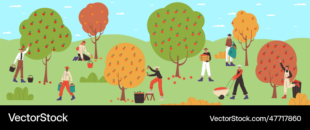 Group harvesting process cartoon farmers picking Vector Image