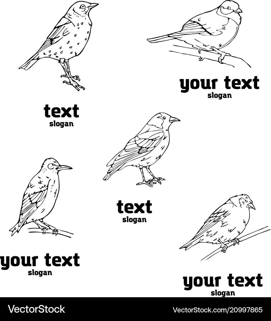 Birds engraved style stamp seal simple sketch Vector Image