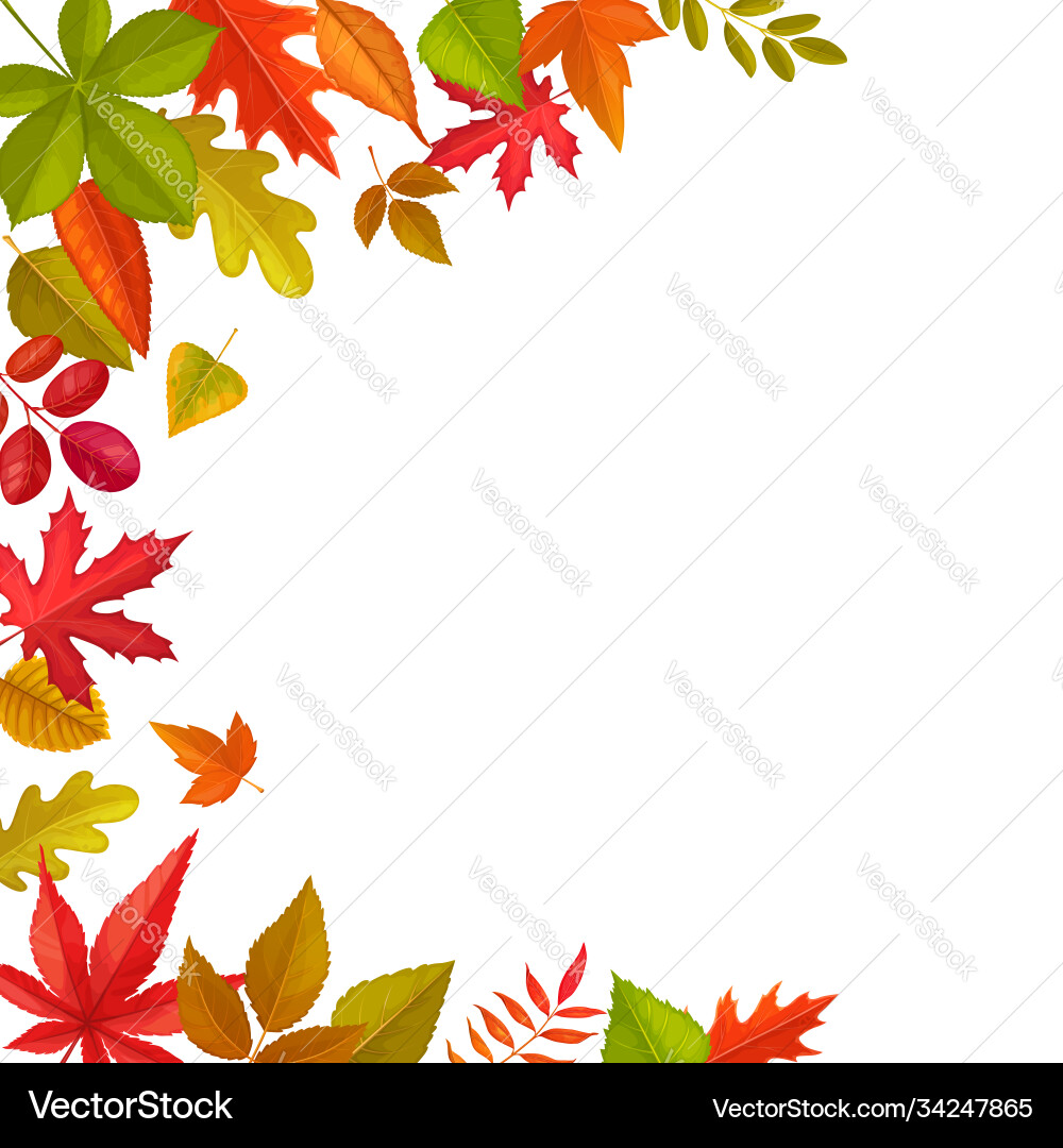 Frame fallen leaves autumn foliage border Vector Image