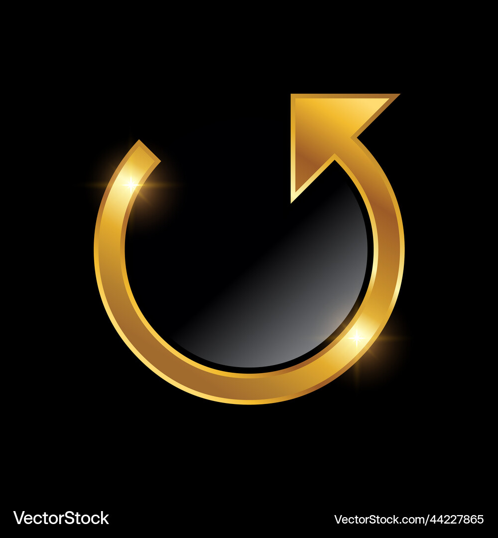 Golden circle arrow sign Royalty Free Vector Image