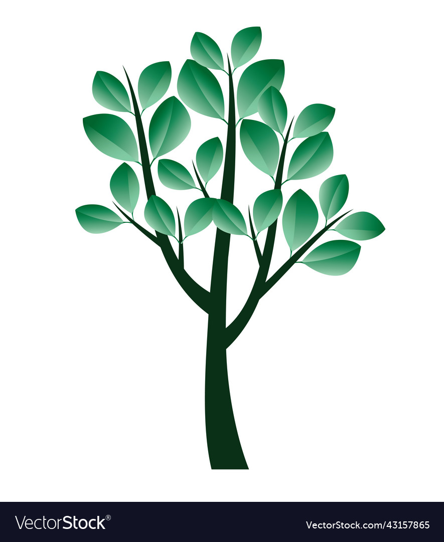 Green spring tree Royalty Free Vector Image - VectorStock