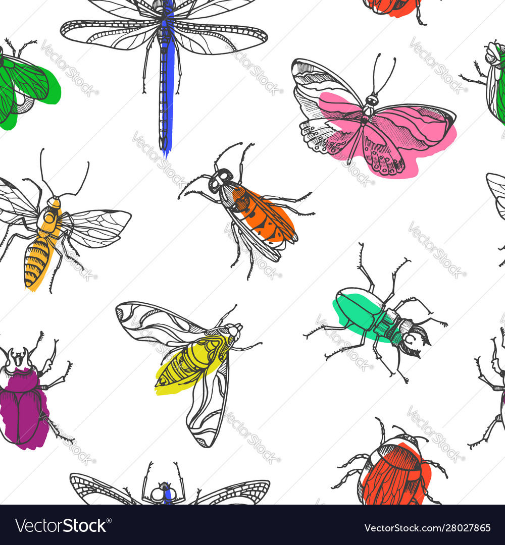 Pattern insect white Royalty Free Vector Image