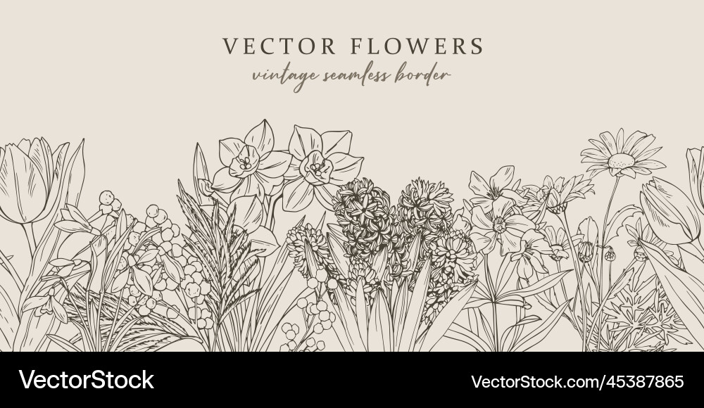 Vintage seamless border with spring flowers Vector Image