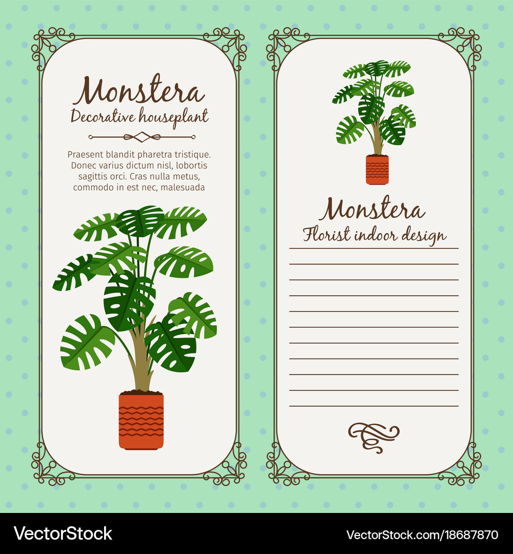 Vintage label with monstera plant Royalty Free Vector Image