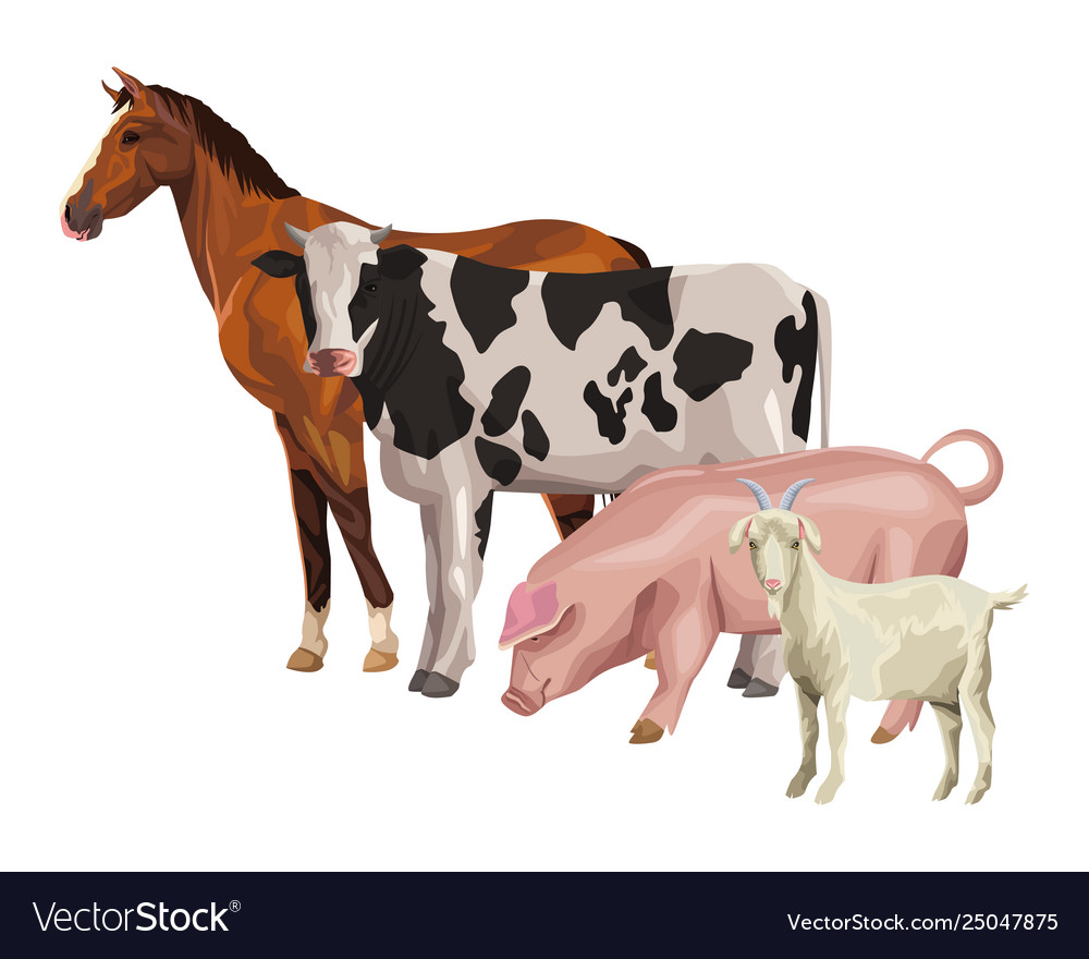 Horse cow pig and goat Royalty Free Vector Image