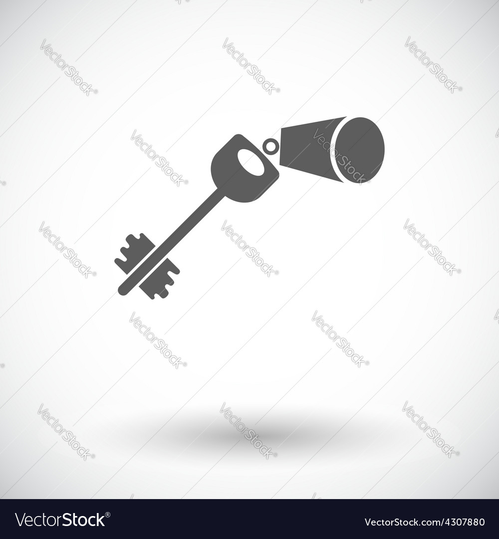 Key flat icon Royalty Free Vector Image - VectorStock