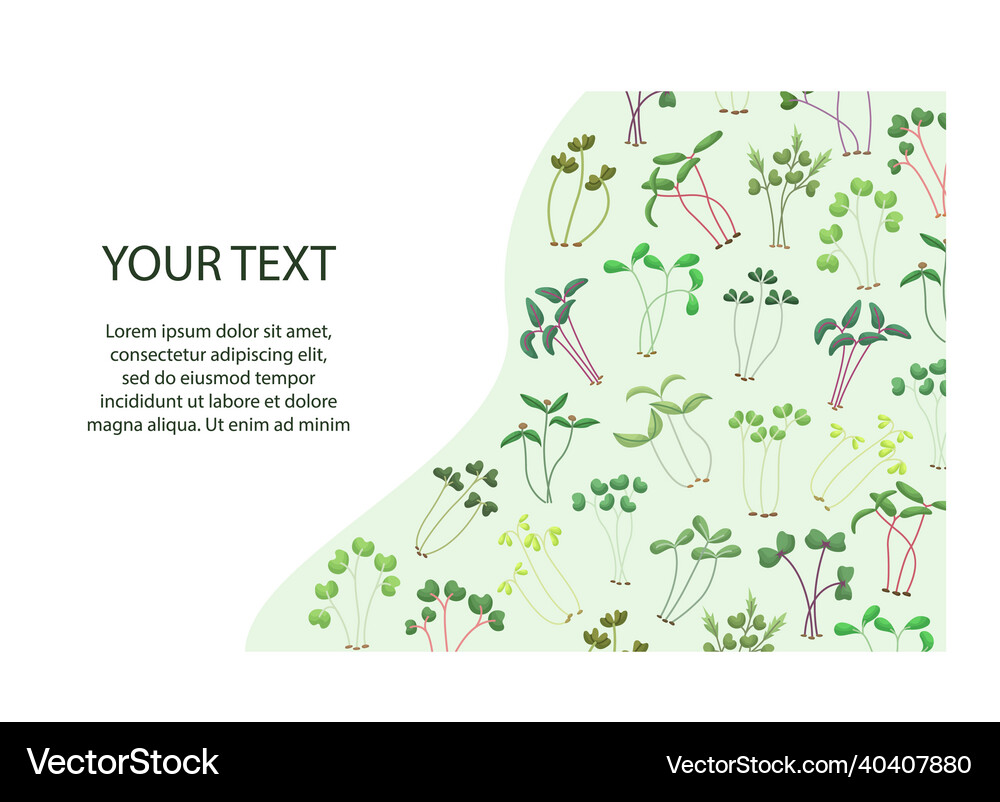 Microgreens with a place for text healthy young Vector Image