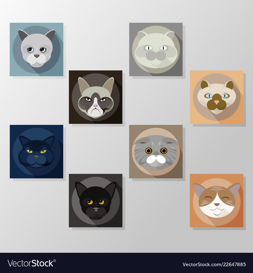 Cats Royalty Free Vector Image - VectorStock