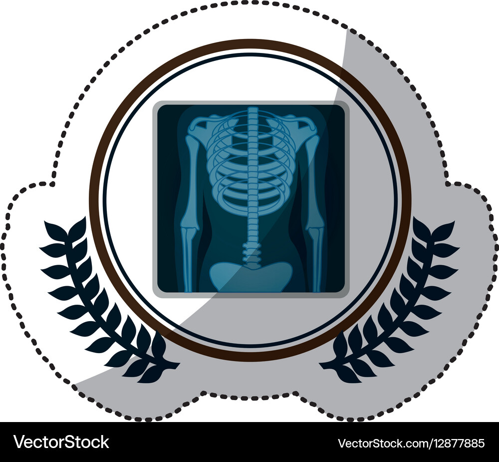 Color sticker with x-ray bones in circle Vector Image
