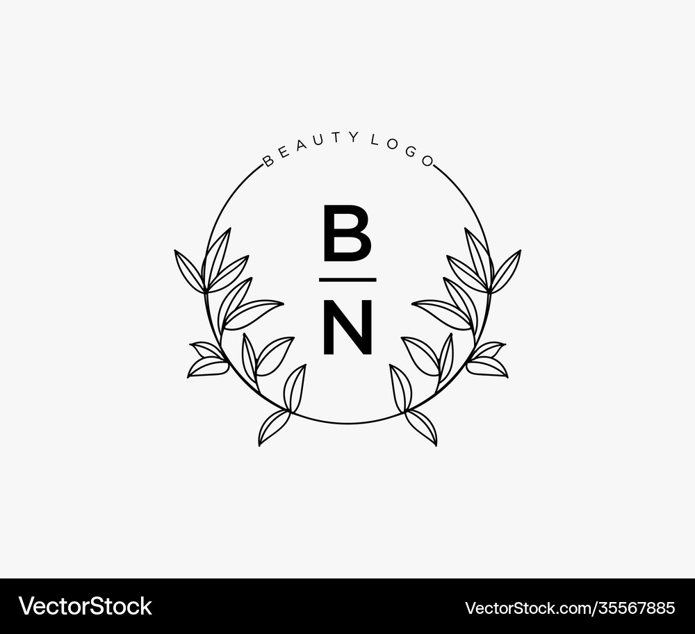 Initial bn letters beautiful floral feminine Vector Image