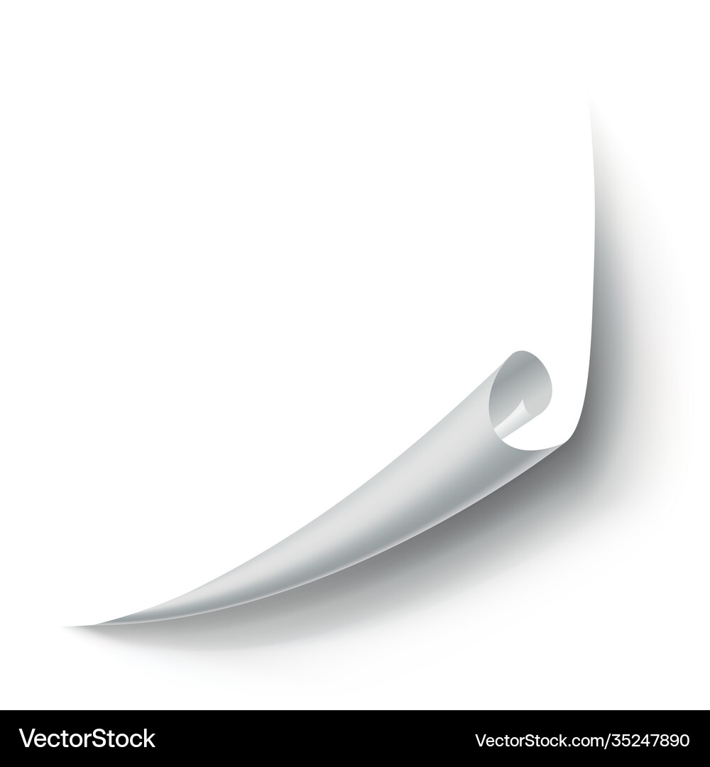 Curled paper corner curve page corner page edge Vector Image
